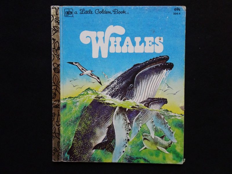 Whales- 1980 - GoldenBookGuy.com