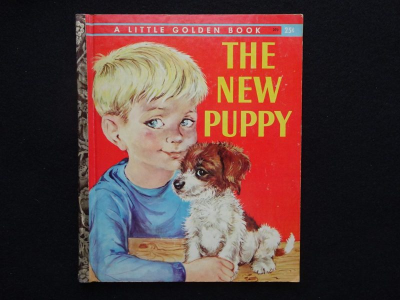 The New Puppy- A - GoldenBookGuy.com