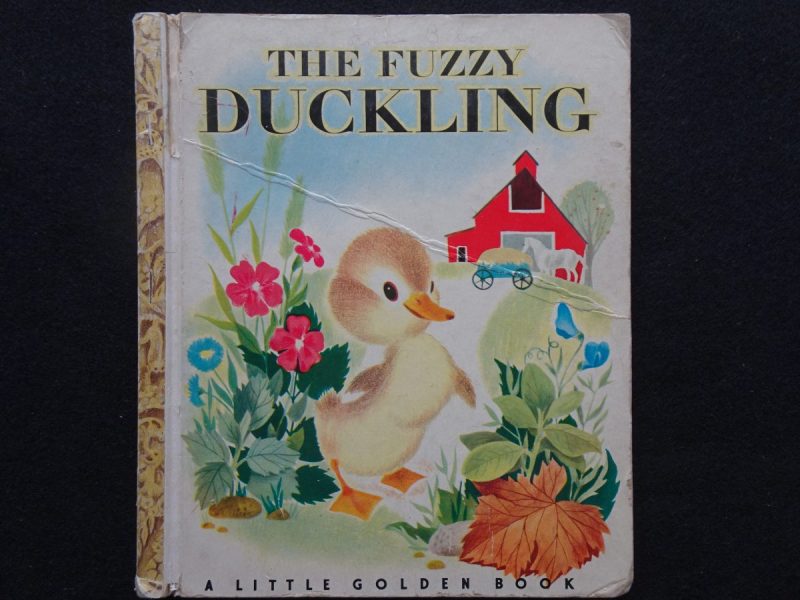 The Fuzzy Duckling- A - GoldenBookGuy.com