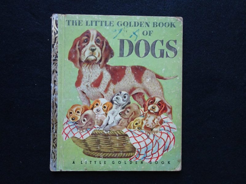 The Little Golden Book of Dogs- 1952 A - GoldenBookGuy.com