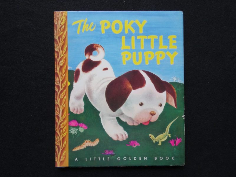 Poky Little Puppy- 50th Anniversary With Dust Jacket! - GoldenBookGuy.com